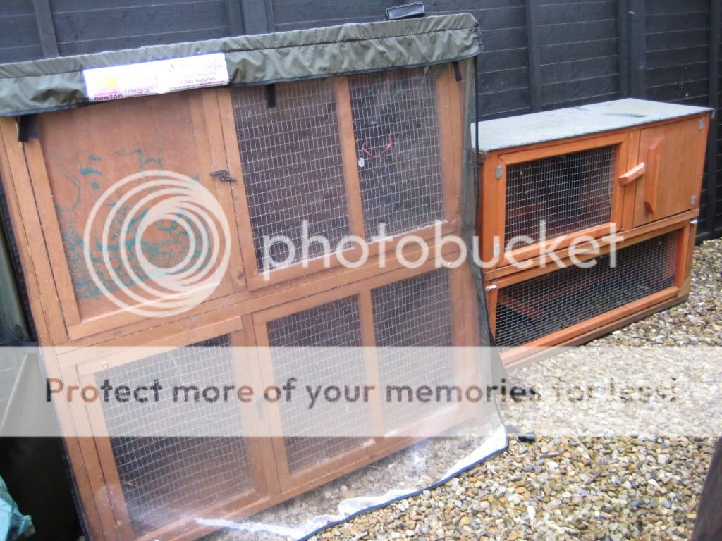 4ft hutch Spot the difference! | Rabbits United