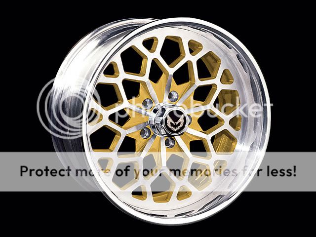 Stanced Trans Am WS6