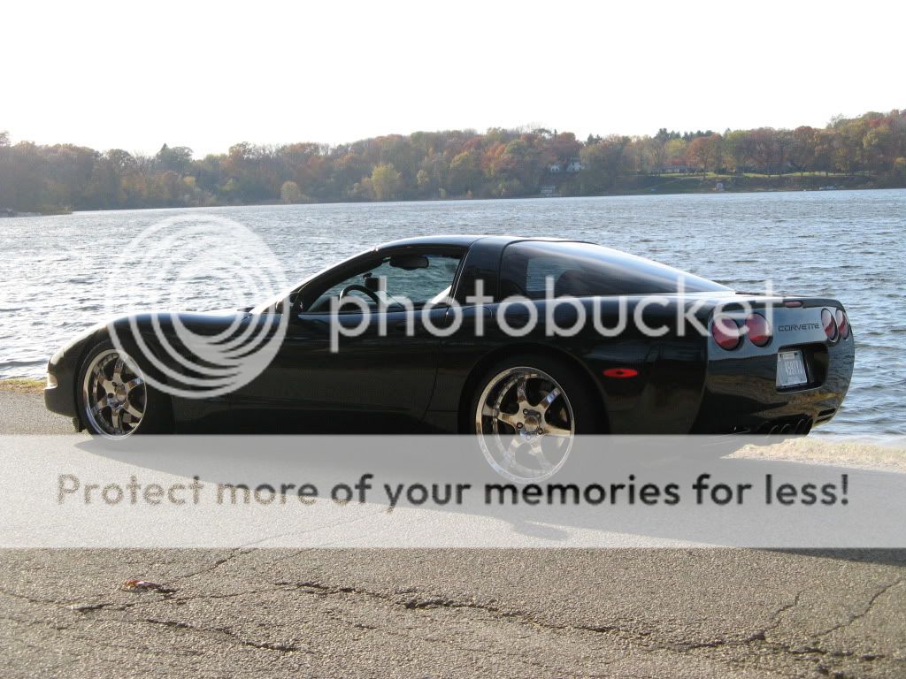 dark bowling green metallic - Page 7 - CorvetteForum - Chevrolet ...